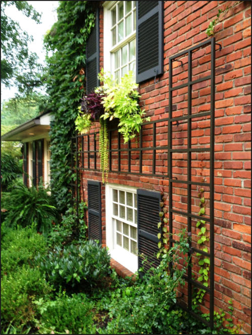 Garden Metal Work | Trellis Gallery