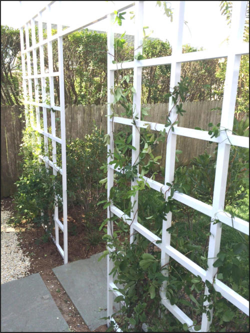 Garden Metal Work | Trellis Gallery