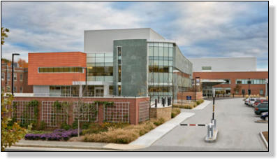 Garden Metal Work | Industrial Trellis